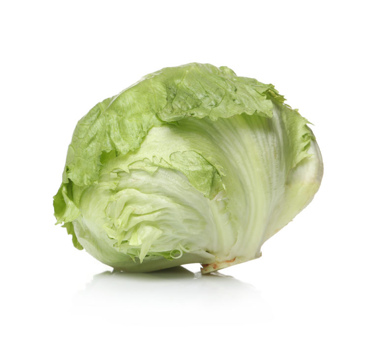 lechuga iceberg
